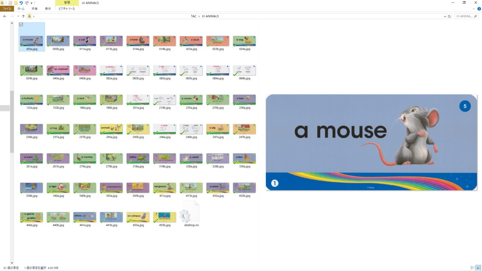 DWE TACの活用（データ化） | Flowers & Accesories Atelier Jo